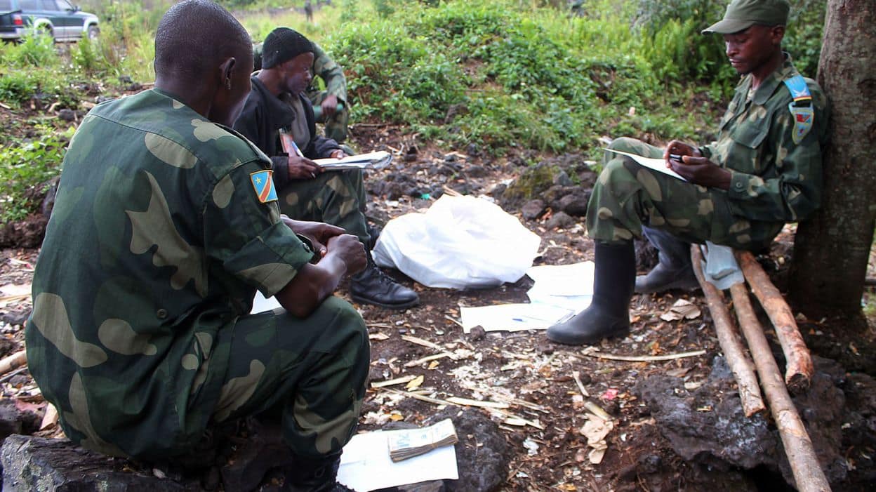 OFFENSIVES AGAINST FIGHTERS OF ADF, ALLIED DEMOCRATIC FORCES - DR Congo